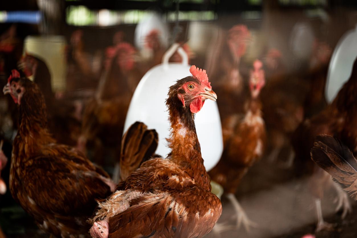 Newborns exposed in West Texas measles outbreak | CIDRAP